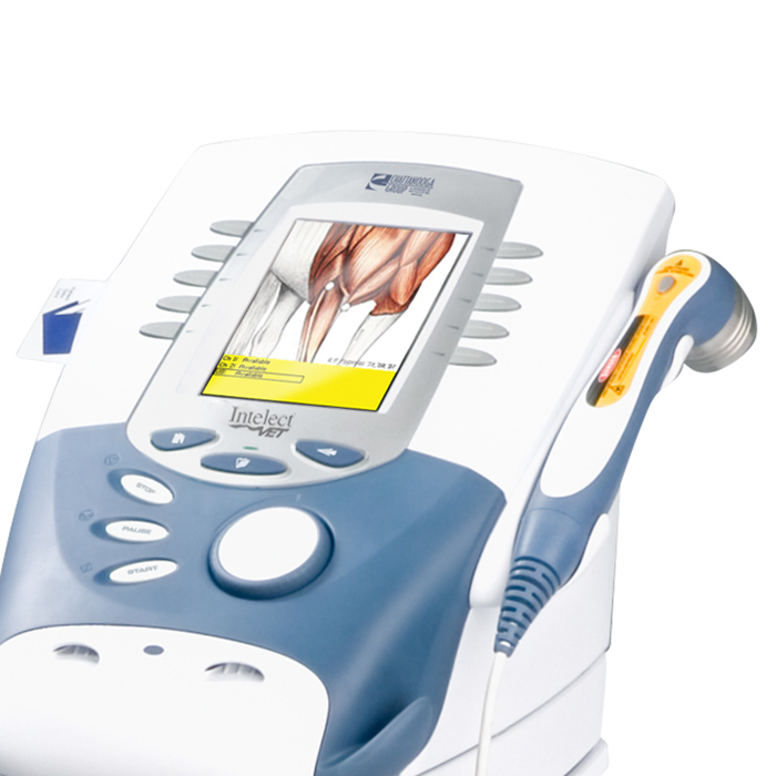 Intelect Vet - Chattanooga | JP REHAB SRL