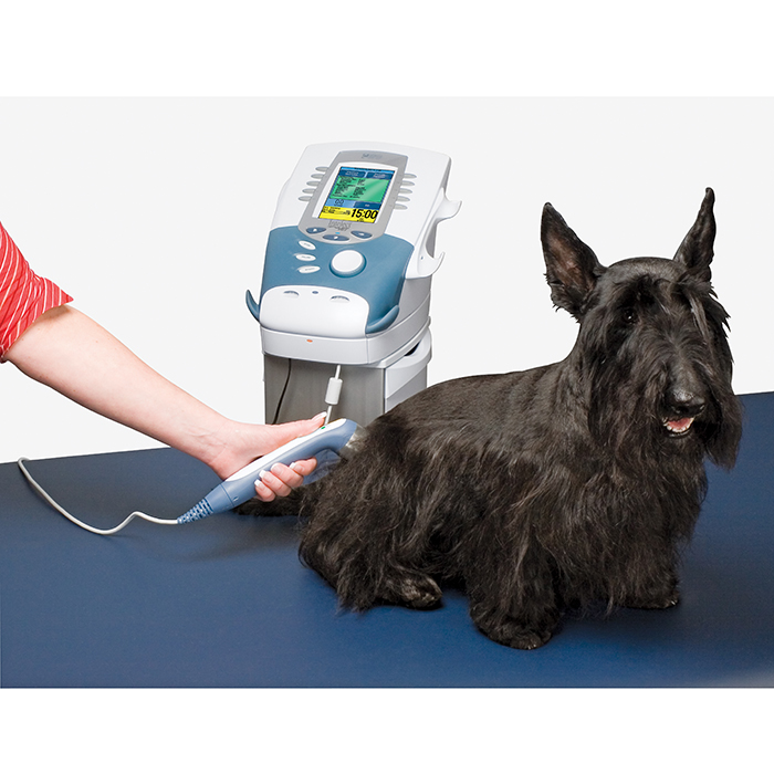 Intelect Vet - Chattanooga | JP REHAB SRL